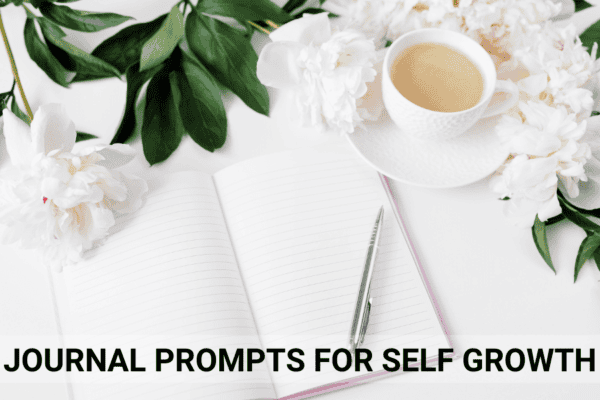 83 Powerful Journal Prompts For Self Growth - Davinas Finance Corner